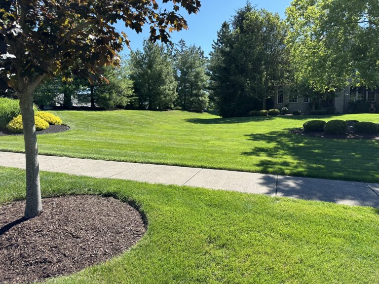 Residential Grounds Maintenance - Competitive Programs